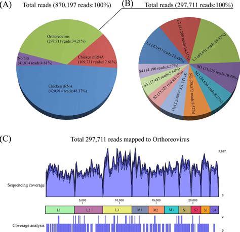 the illustrations of the homology search results for ngs reads and the