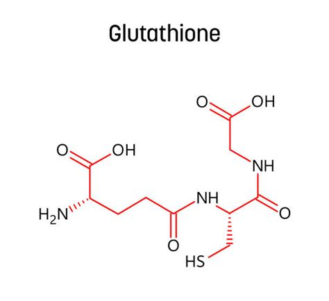 70 Glutathion Ilustrasi Foto Stok Potret And Gambar Bebas Royalti Istock