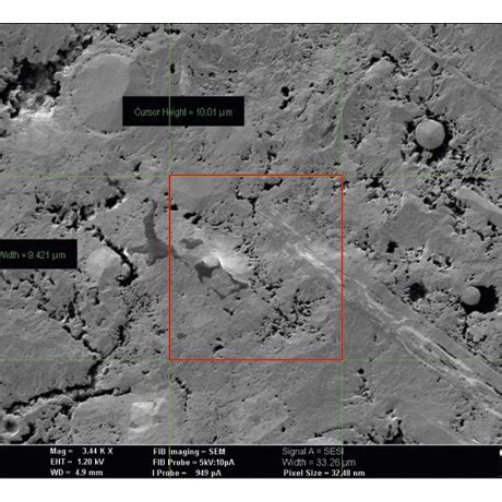 Process Of FIB SEM Imaging A Aimed Surface In D SEM B Cropped Download Scientific