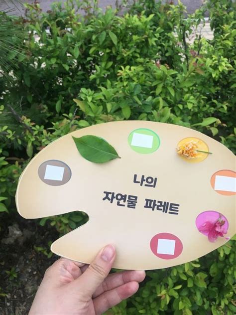 찬진교육 봄과 동식물 유치원 어린이집 봄 활동 숲체험 활동 유치원 어린이집 야외활동 자연물 활동 자연물