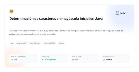Programación Java Clase Character Verificación De Mayúscula Inicial