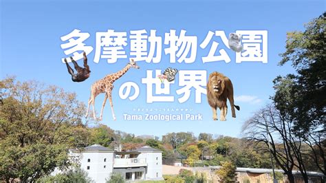 「多摩動物公園の世界 Tama Zoological Park」キッズドキュメンタリー 【無料体験】動画配信サービスのビデオマーケット