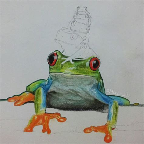 Realistic Frog Drawing At PaintingValley Com Explore Collection Of Realistic Frog Drawing