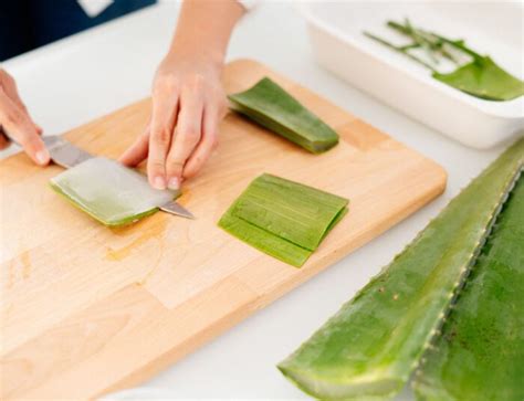 Cómo hacer gel de aloe vera puro casero PequeRecetas