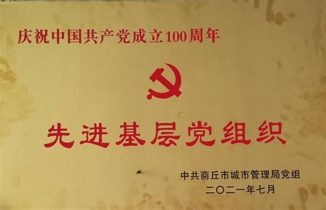 康达环保（商丘）水务有限公司荣获 “先进基层党组织”荣誉称号 项目动态 康达国际