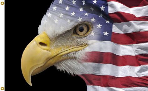 American Flag Eagle Vrogue Co