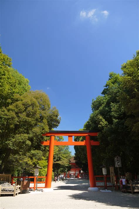 下鴨神社の夏景色 京都フリー写真素材集：京都の神社・寺院・観光地・世界遺産の無料写真