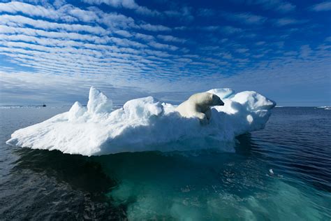 north pole temps rise above freezing in the middle of winter