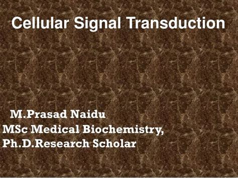 PPT SIGNAL TRANSDUCTION PowerPoint Presentation Free Download ID