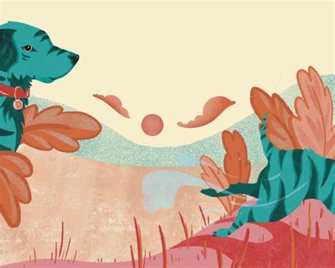 Hannah Clair Illustration