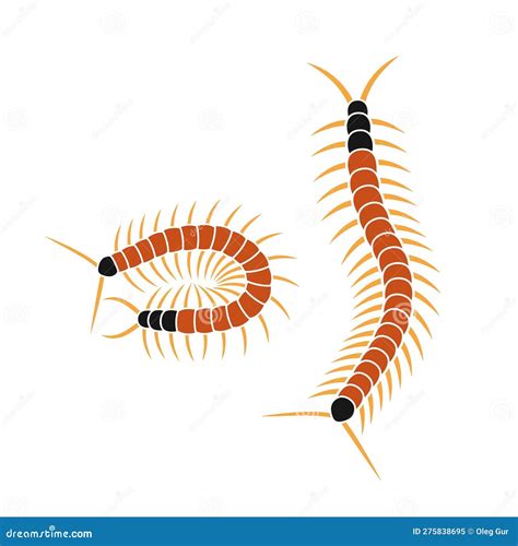 Scolopendra Logo Isolated Scolopendra On White Background Royalty Free