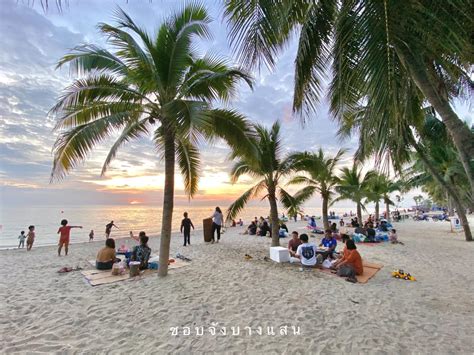 ชอบจัง บางแสน 🌴🌴คนที่ชอบชิลใต้ต้นไม้โล่งๆ ฟีลวันอังคาร