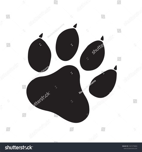 77 863 Imágenes De Huellas Gatos Imágenes Fotos Y Vectores De Stock