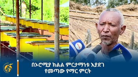በኦሮሚያ ክልል ምርታማነቱ እያደገ የመጣው የማር ምርት YouTube