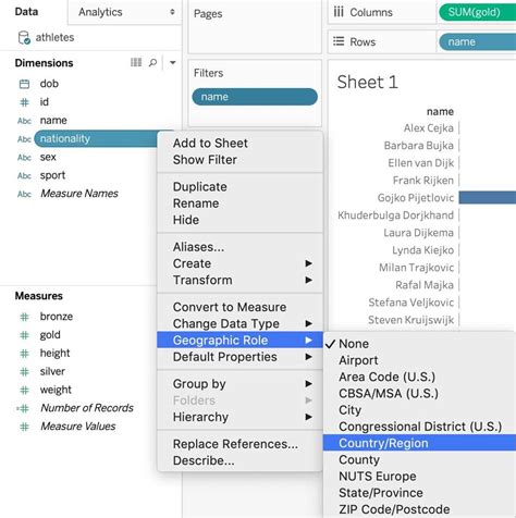 How Can You MANUALLY Assign Geographic Roles To A Dimension From The