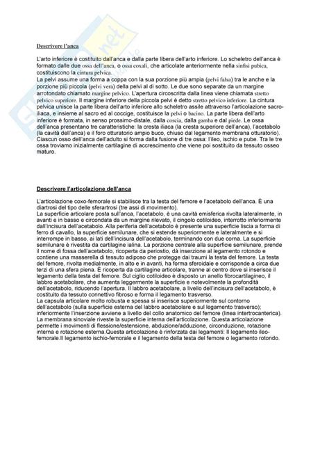 Paniere Di Anatomia Umana Risposte Chiuse