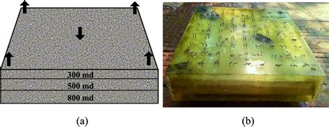A Schematic Diagram And B Photograph Of The Heterogeneous Model