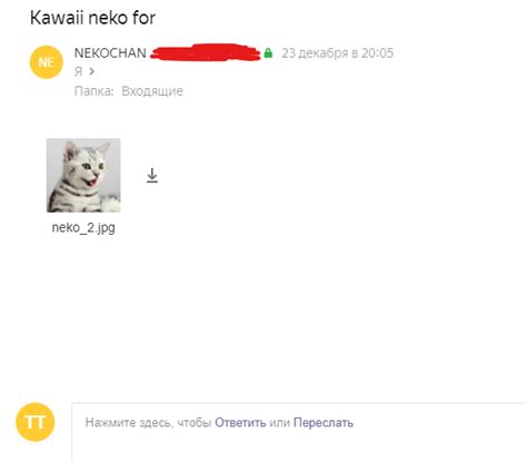 Email Нет текста письма в почте Yandex Python Stack Overflow на русском