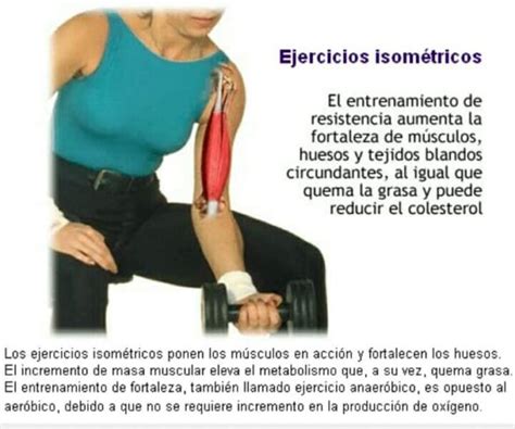 ContracciÓn Muscular Conoce Los Tipos Y Su Mecanismo Salud Diez