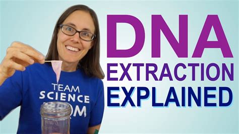 DNA Extraction Explained YouTube