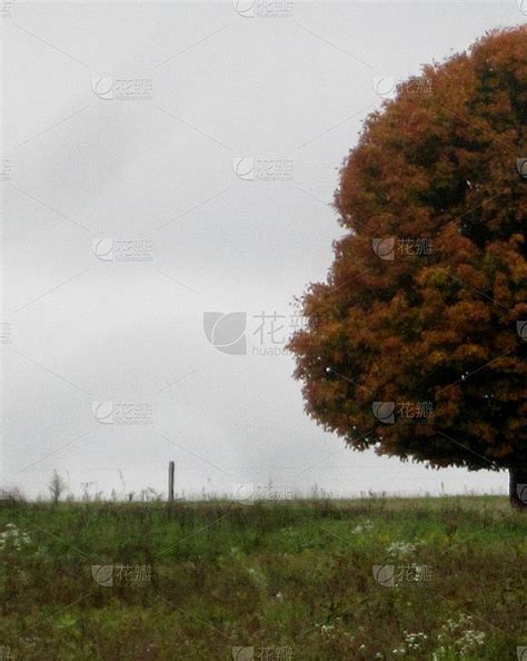边框和背景
