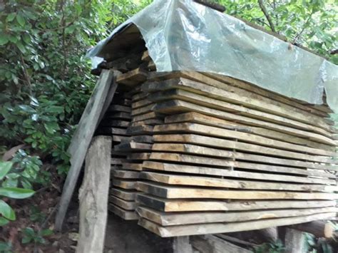 დაცული ტერიტორიების სააგენტო Archives Batumelebi • ბაზრის კვლევა დაცული ტერიტორიები დაცული