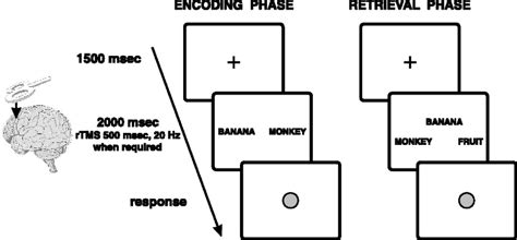 Task Schematics Subjects Fixated A Small Cross At The Center Of The