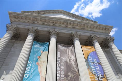 워싱턴dc 스미소니언 자연사 박물관 네이버 블로그