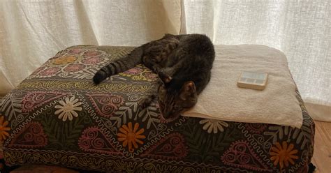 プログラマー探偵の事件簿：見えないスペースの恐怖｜twsnmp