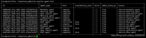 基于packstack安装的openstack新增计算节点packstack添加openstack计算节点 Csdn博客