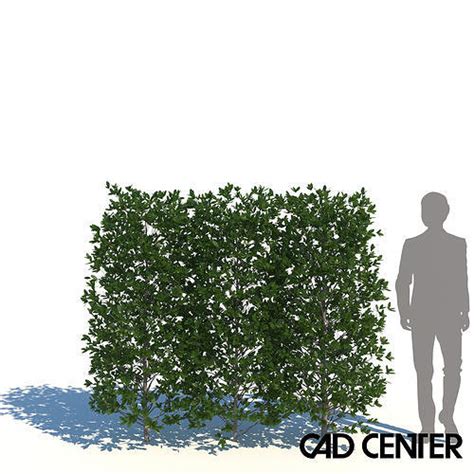 Ubamegashi Hedge 1800 A 3d Model Cgtrader