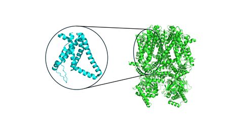 uncovering patterns in structure for voltage sensing membrane proteins