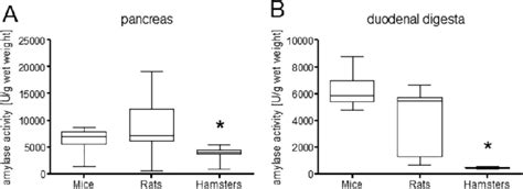 实验室啮齿动物胰淀粉酶活性的比较分析 Scientific Reports X MOL