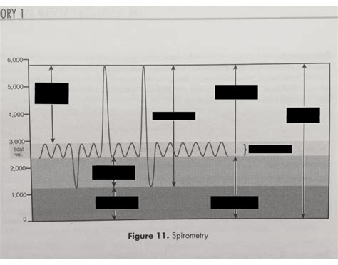 Label The Spirometry Graph — Printable Worksheet