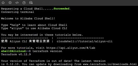 Terraform Ecs