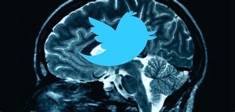 Posting On Social Networking Sites Engage Same Parts Of Brain As Sex