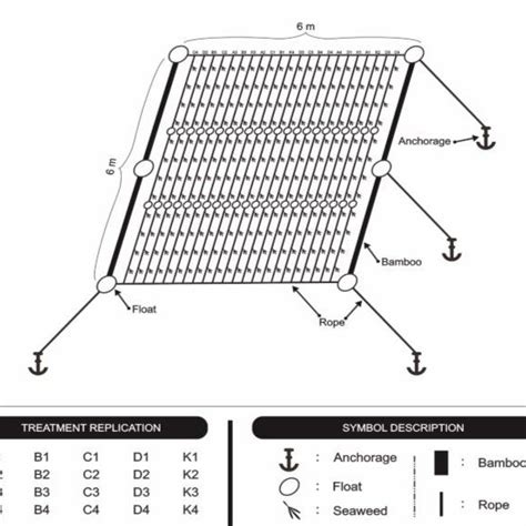 Floating Raft Design And Research Treatment Download Scientific Diagram