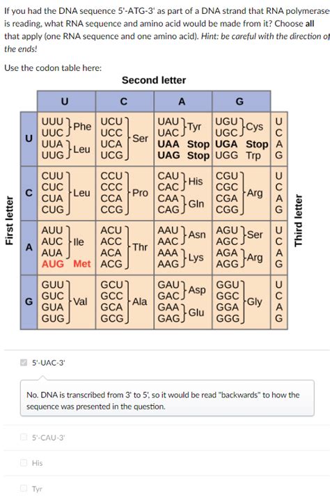 Solved If You Had The Dna Sequence 5 Atg 3 As Part Of A