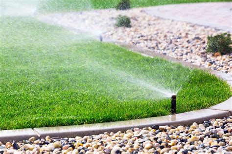 When Is The Best Time To Water Your Lawn In Florida Wikilawn