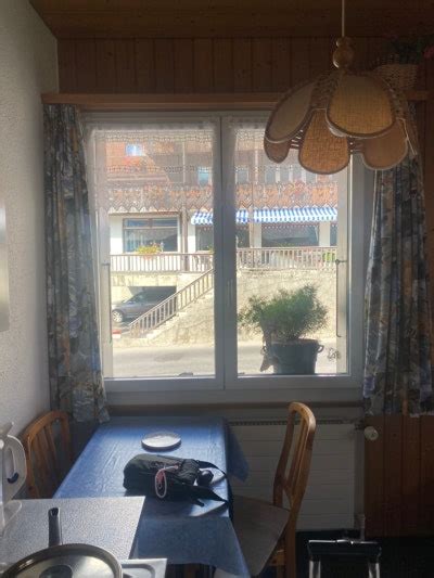 [스위스 여행] 앨리스할머니네 샬레 스위스 샬레 예약법 And 스위스 숙소추천 앨리스할머니 샬레 앨리스할머니네 Willy방 후기 그린델발트 숙소 예약 팁