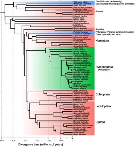 Robert Waterhouse On Linkedin Rapid Evolution Of Mitochondrion Related Genes In Haplodiploid