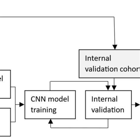 Workflow Of The Training Internal Validation And External Validation