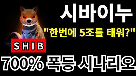 시바이누 코인 한번에 5조를 700 폭등시나리오 공개되었습니다 시바이누전망 시바이누코인 코인 코인전망 비트