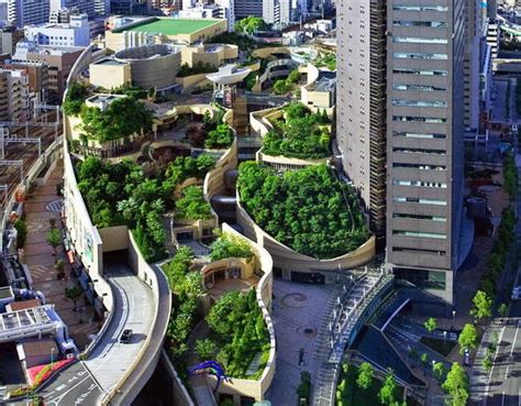 گیاهان مناسب برای روف گاردن بام سبز