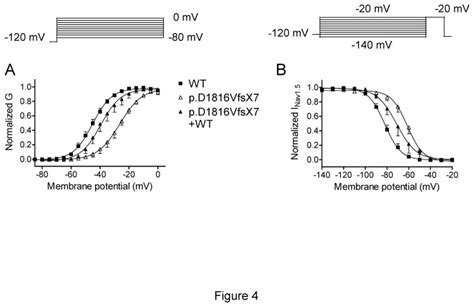 A And B Normalized Steady State Activation A And Inactivation