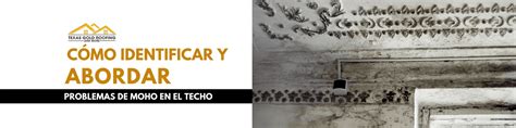 Cómo Identificar Y Abordar Problemas De Moho En El Techo Roofing