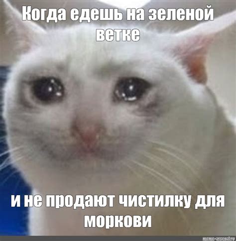 Мем Когда едешь на зеленой ветке и не продают чистилку для моркови Все шаблоны Meme