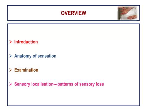 Sensory System Examination Pptx Brain And Nervous System Disorders