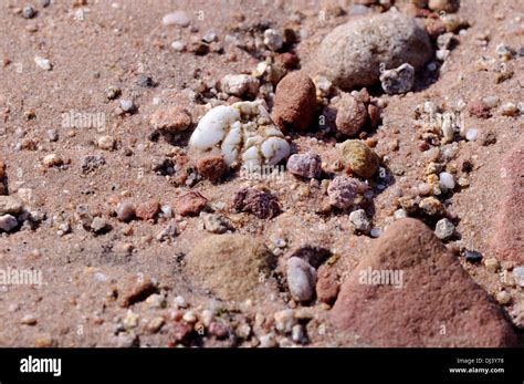 Sand And Gravel Stock Photo Alamy