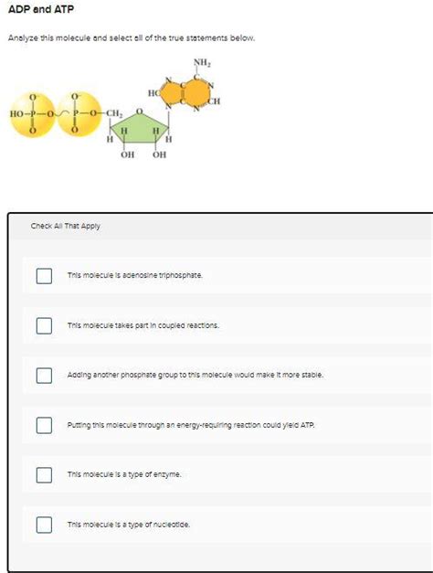 Solved Adp And Atp Analyze This Molecule And Select All Of